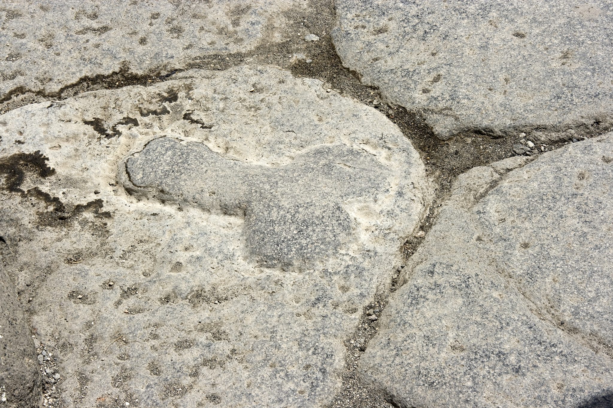 Il fallo simbolo di Pompei · See Pompeii