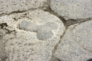 The Phallus Symbol of Pompeii · See Pompeii