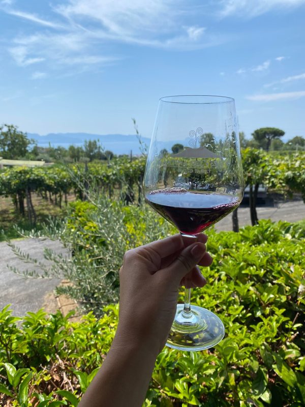 Visiting the ruins of Pompeii and wine tasting on Mount Vesuvius