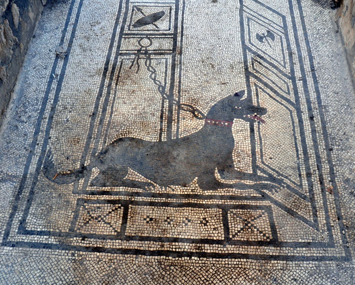 Cave Canem Mosaic Pompeii · See Pompeii