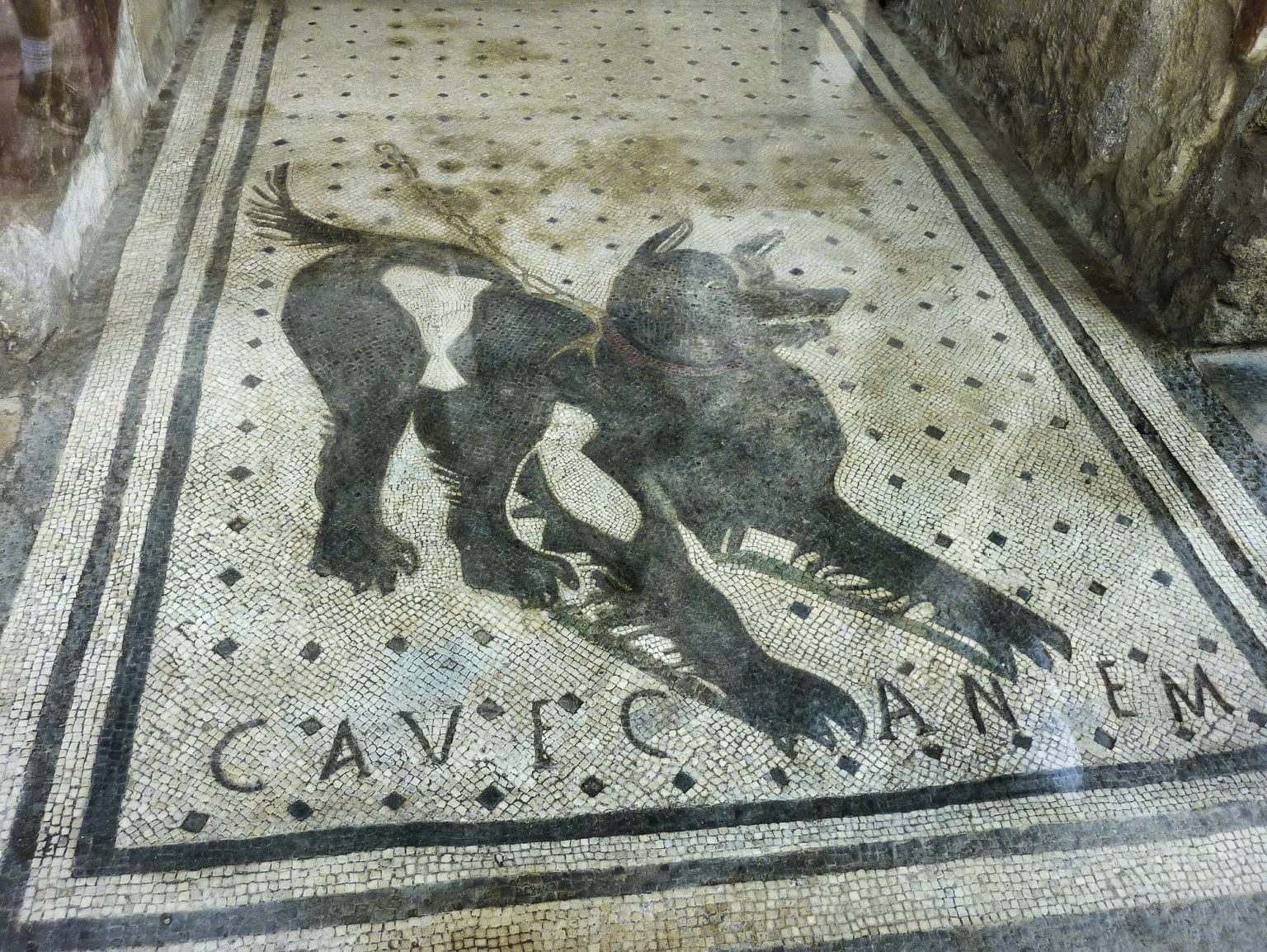 Cave Canem Mosaic Pompeii · See Pompeii