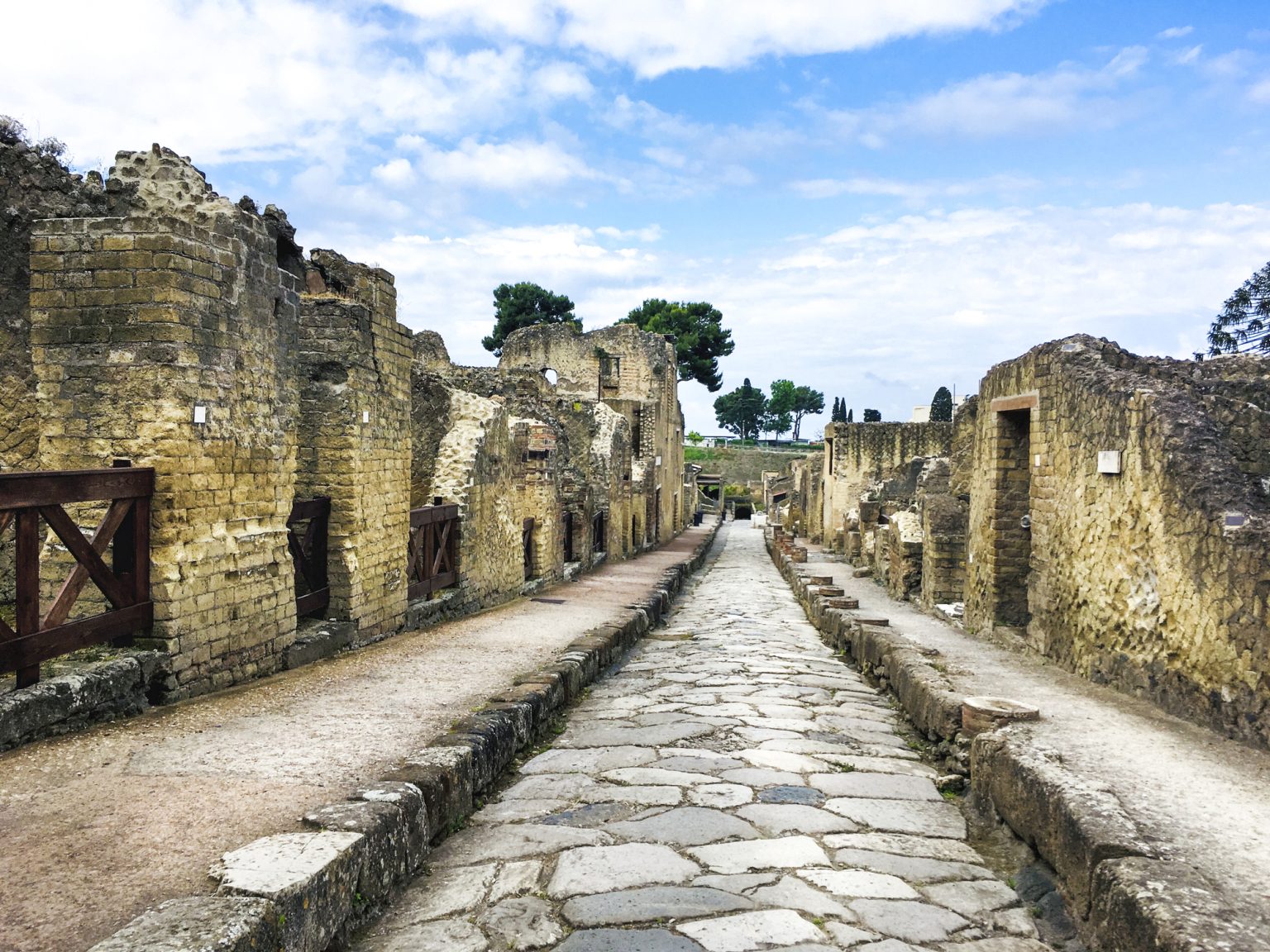 The History of Herculaneum Excavations · See Pompeii